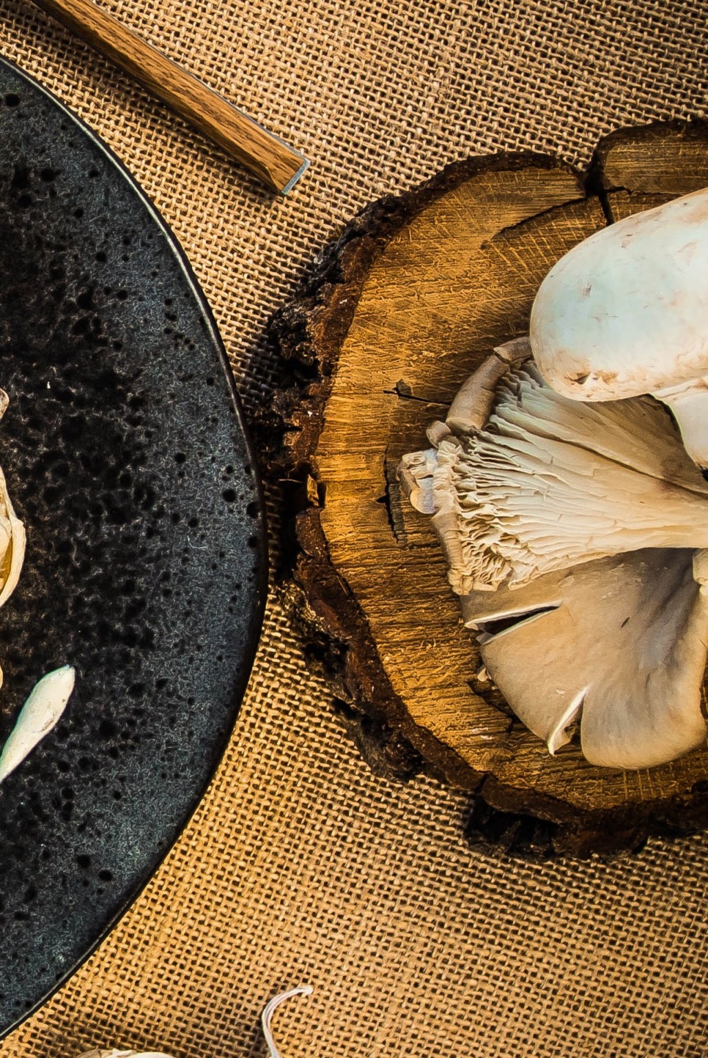 IBAU! - Refeições congeladas 100% de base vegetal
